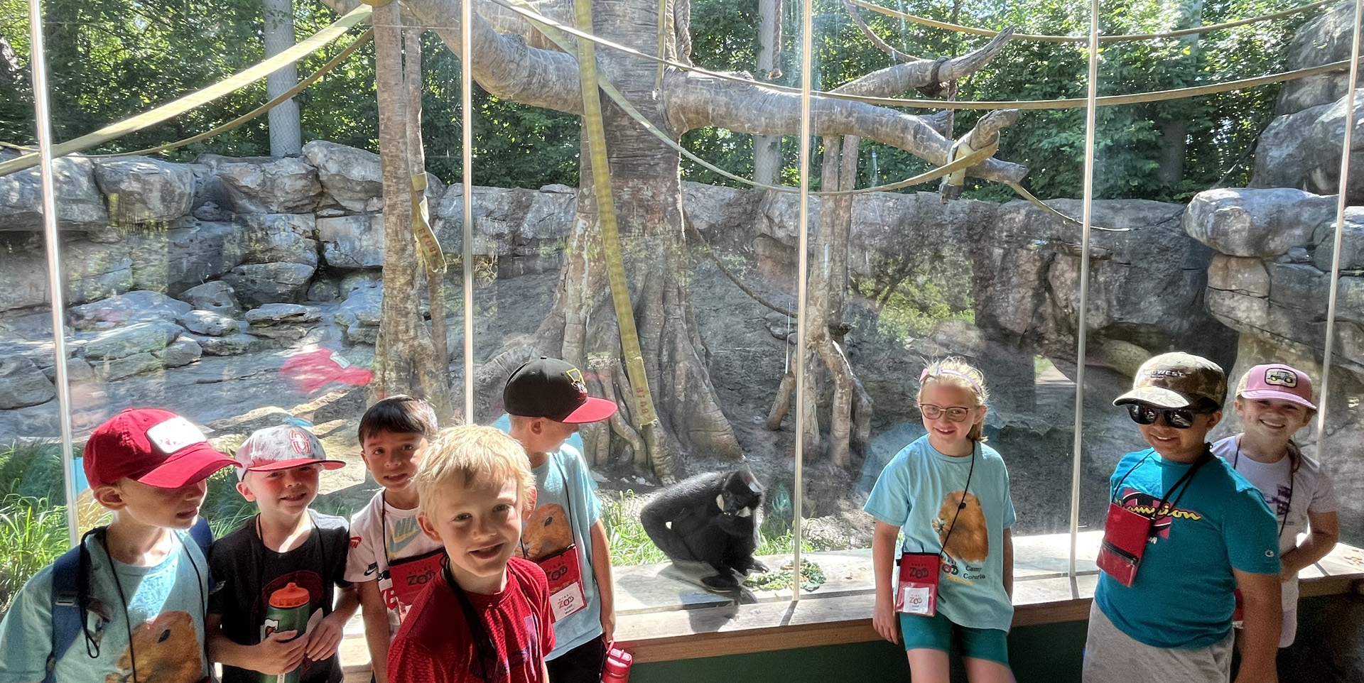 Niabi Zoo - Connecting the Quad Cities with animals